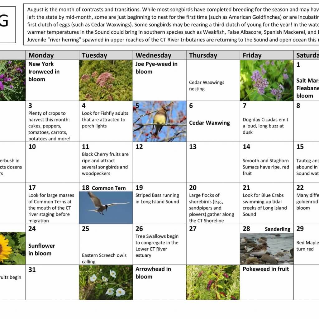 Nature Calendar - The Rockfall Foundation