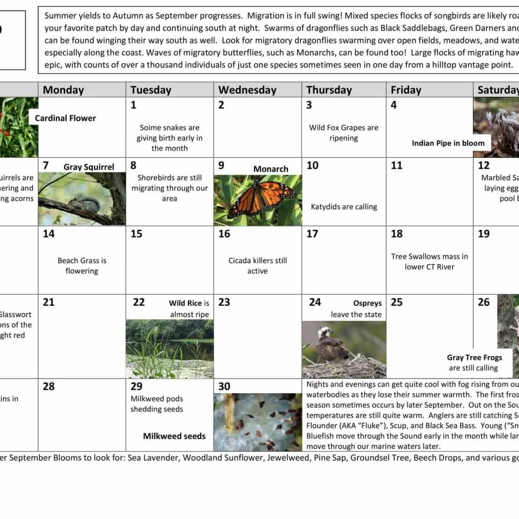 Nature Calendar - The Rockfall Foundation
