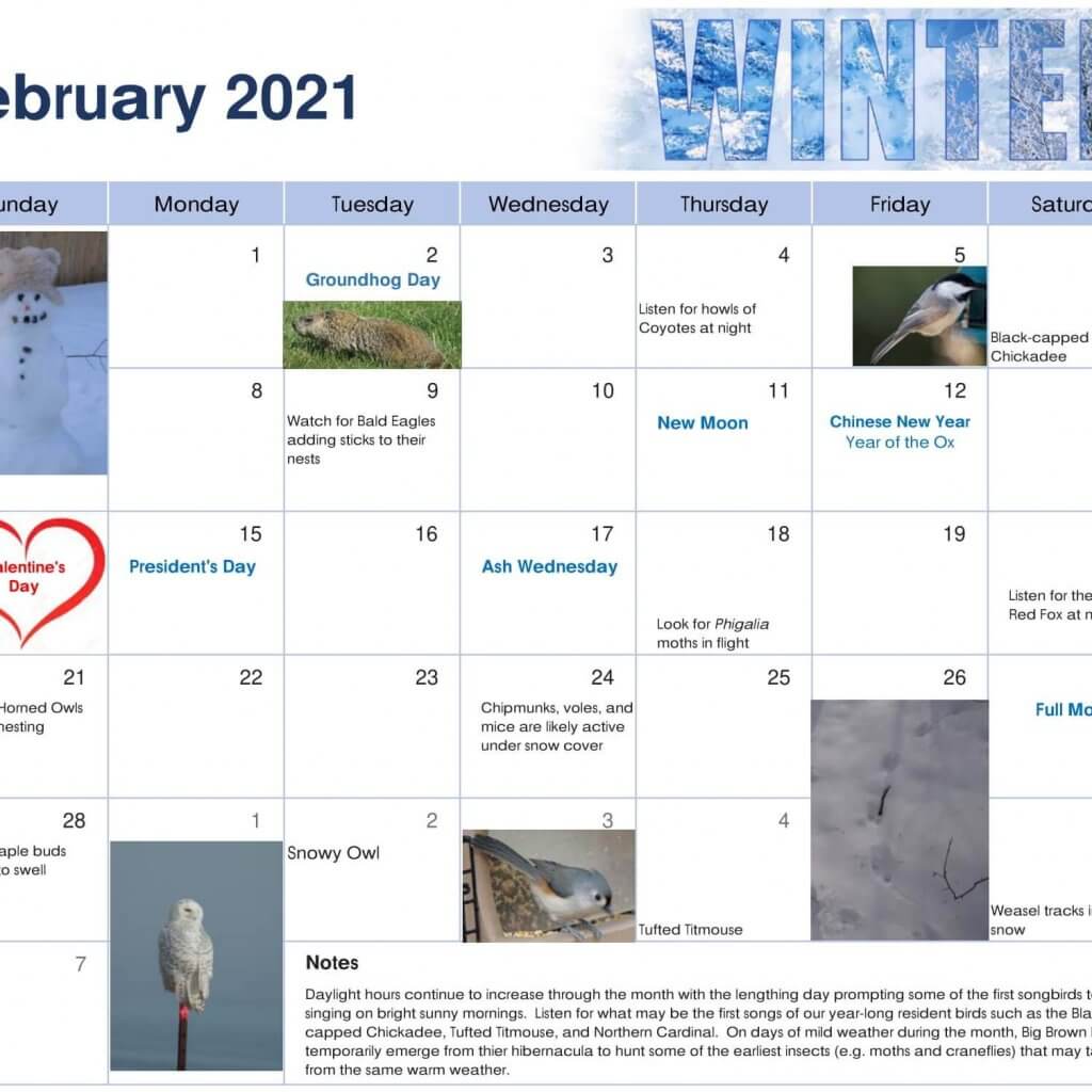 Nature Calendar - The Rockfall Foundation