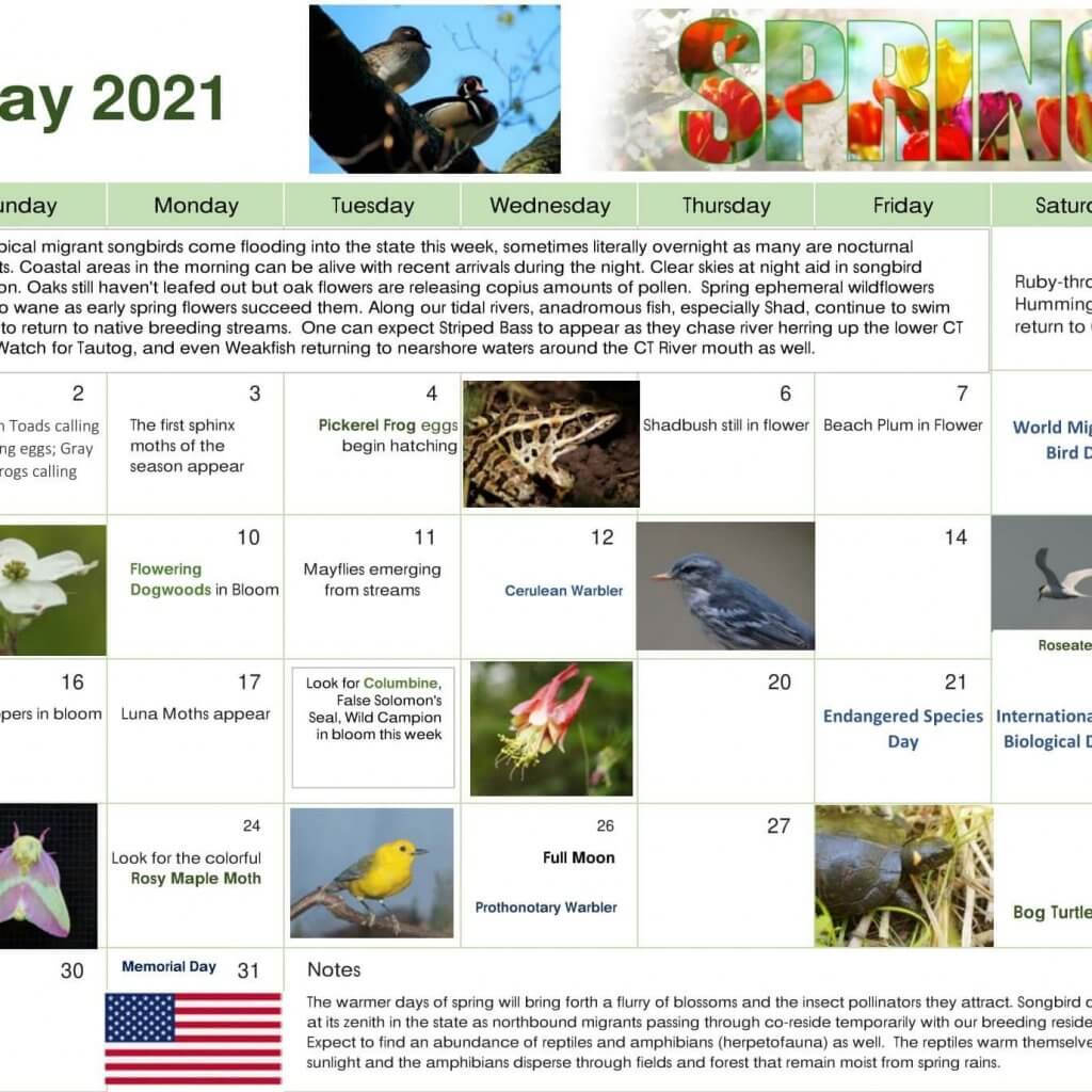 Nature Calendar - The Rockfall Foundation