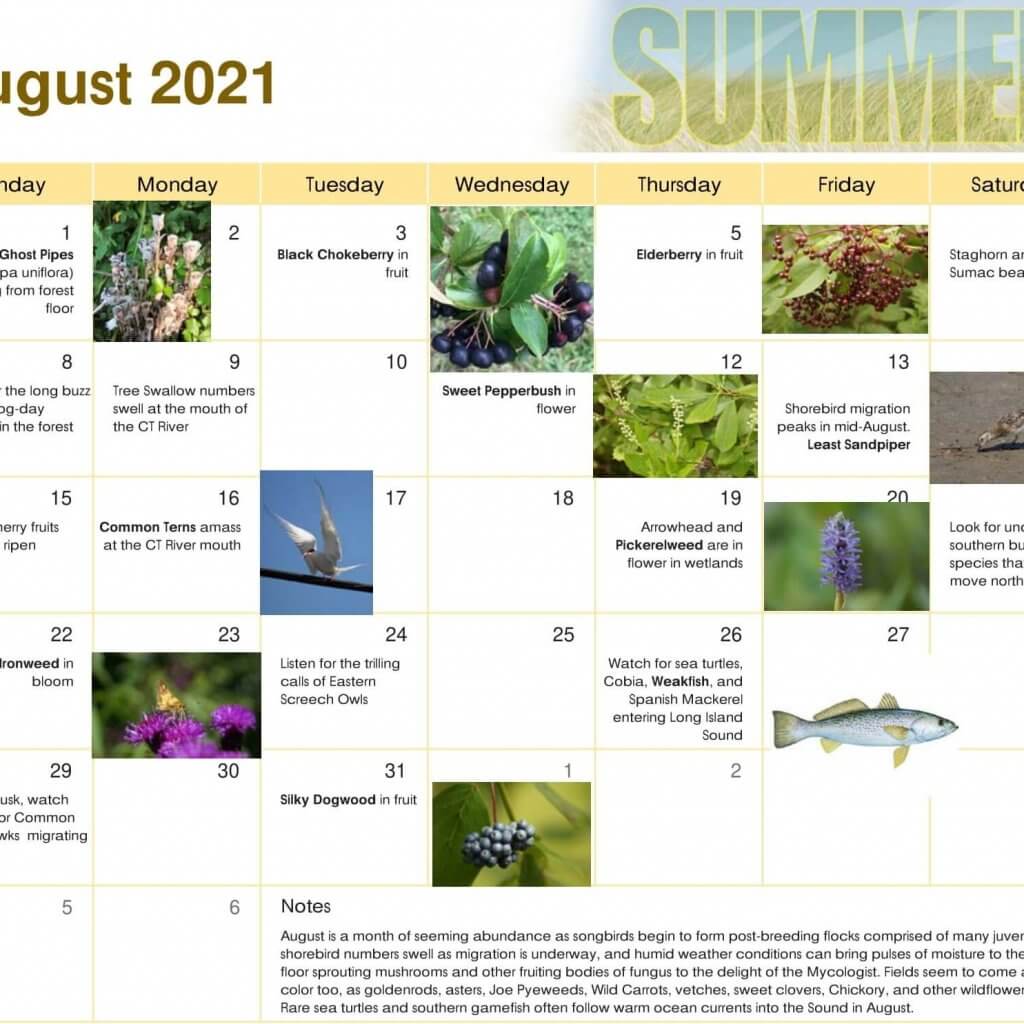 Nature Calendar - The Rockfall Foundation